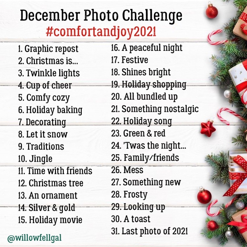 December 2021 ~ Photo Challenge | Willowfell
